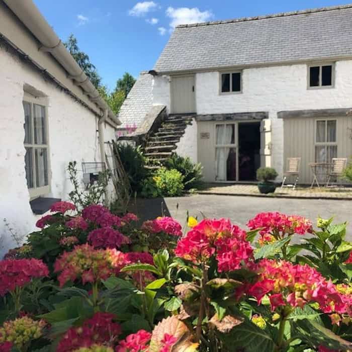 Gallery - Hafod Farm